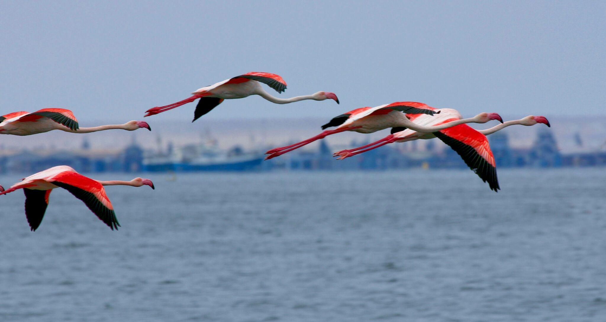 Contact Us - Sandwich Harbour 4x4